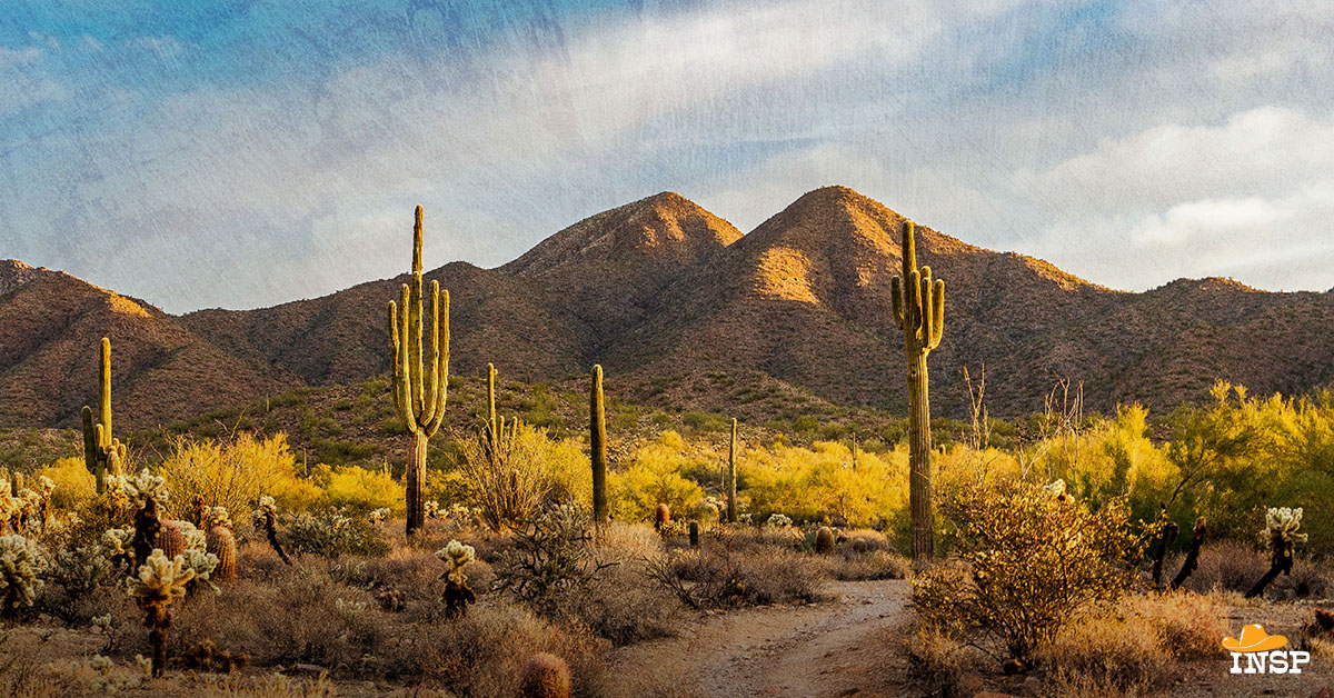 Watch INSP Without Breaking the Bank: Affordable Streaming Solutions ...