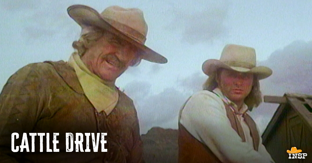 9. Cattle Drive (1951) - INSP